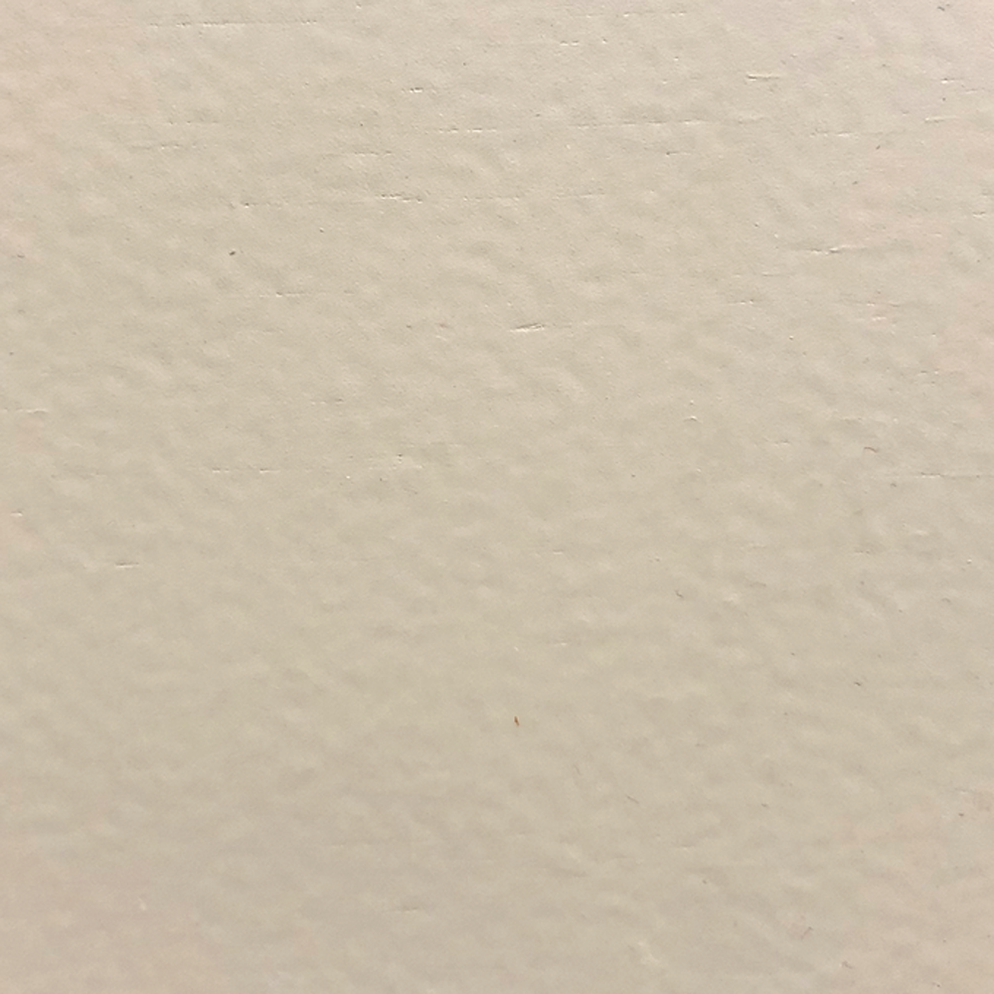 Shiplap Siding 1 in. x 6 in. x 20 ft. V-Rustic Bodyguard Delivery